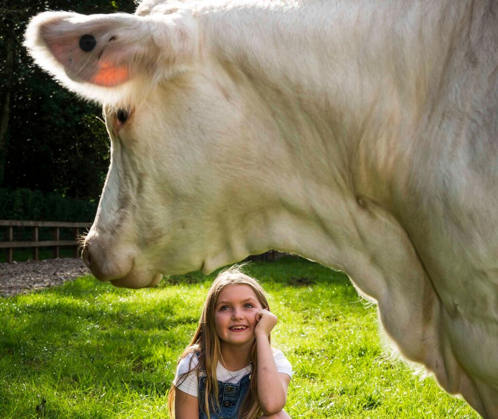IF ANIMALS COULD TALK – Philip Lymbery
