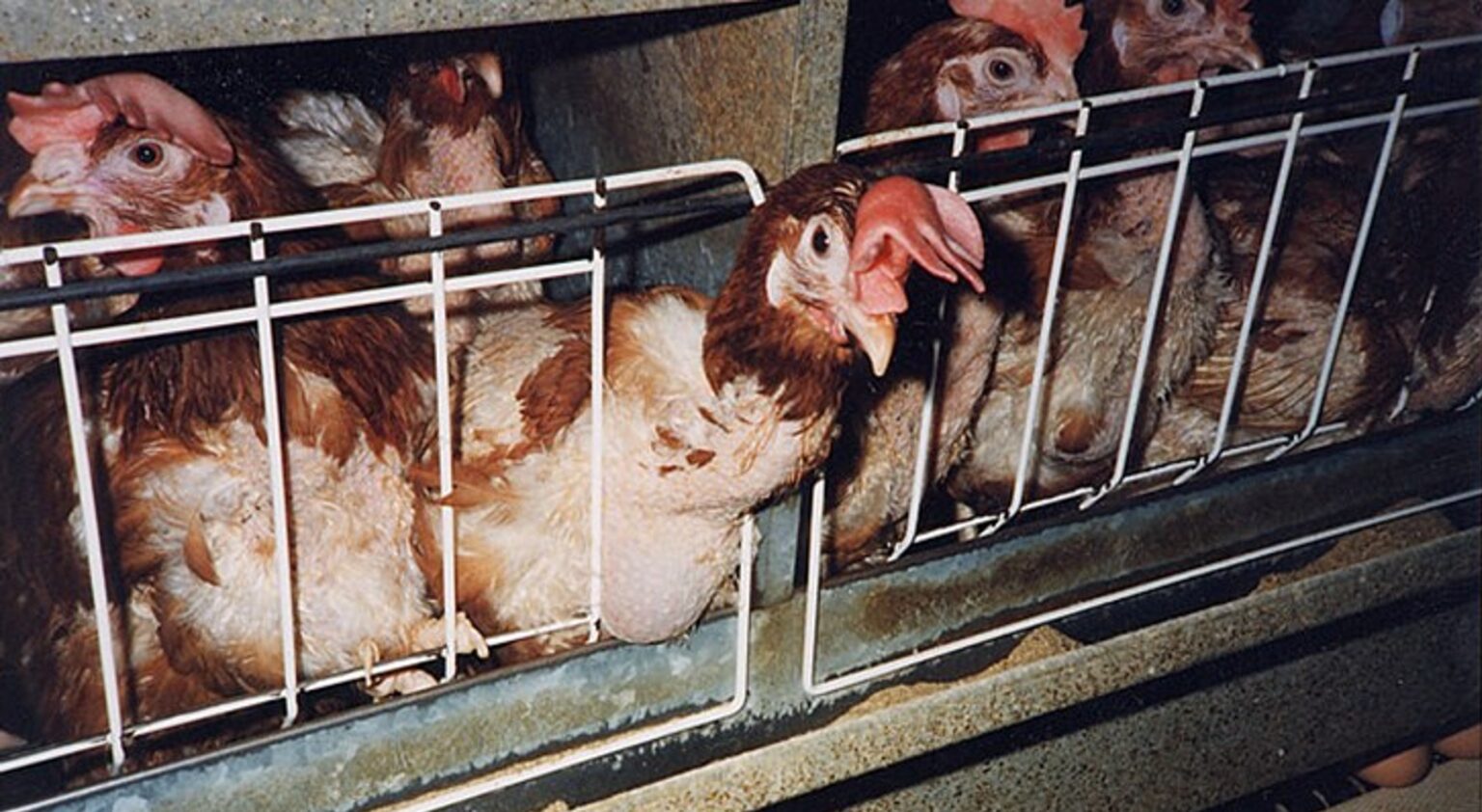 BUILDING A BRIGHTER FUTURE: THE TRANSFORMATIVE POWER OF EDUCATION ...